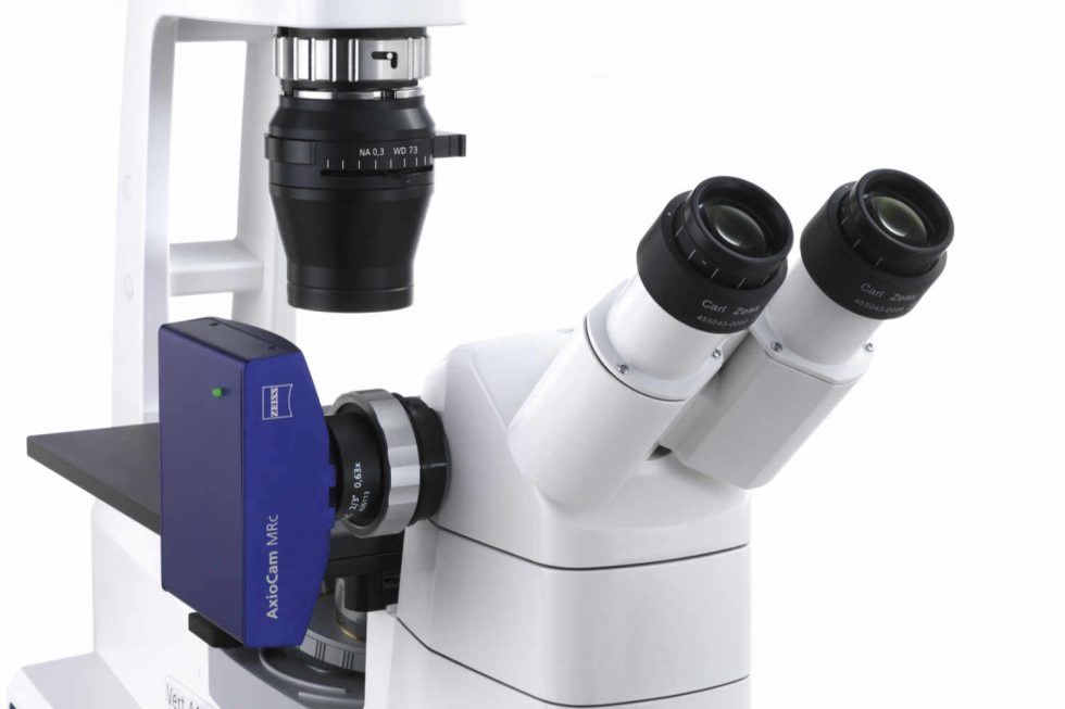 ZEISS "Axio Vert.A1" - historisches Zellkulturmikroskop