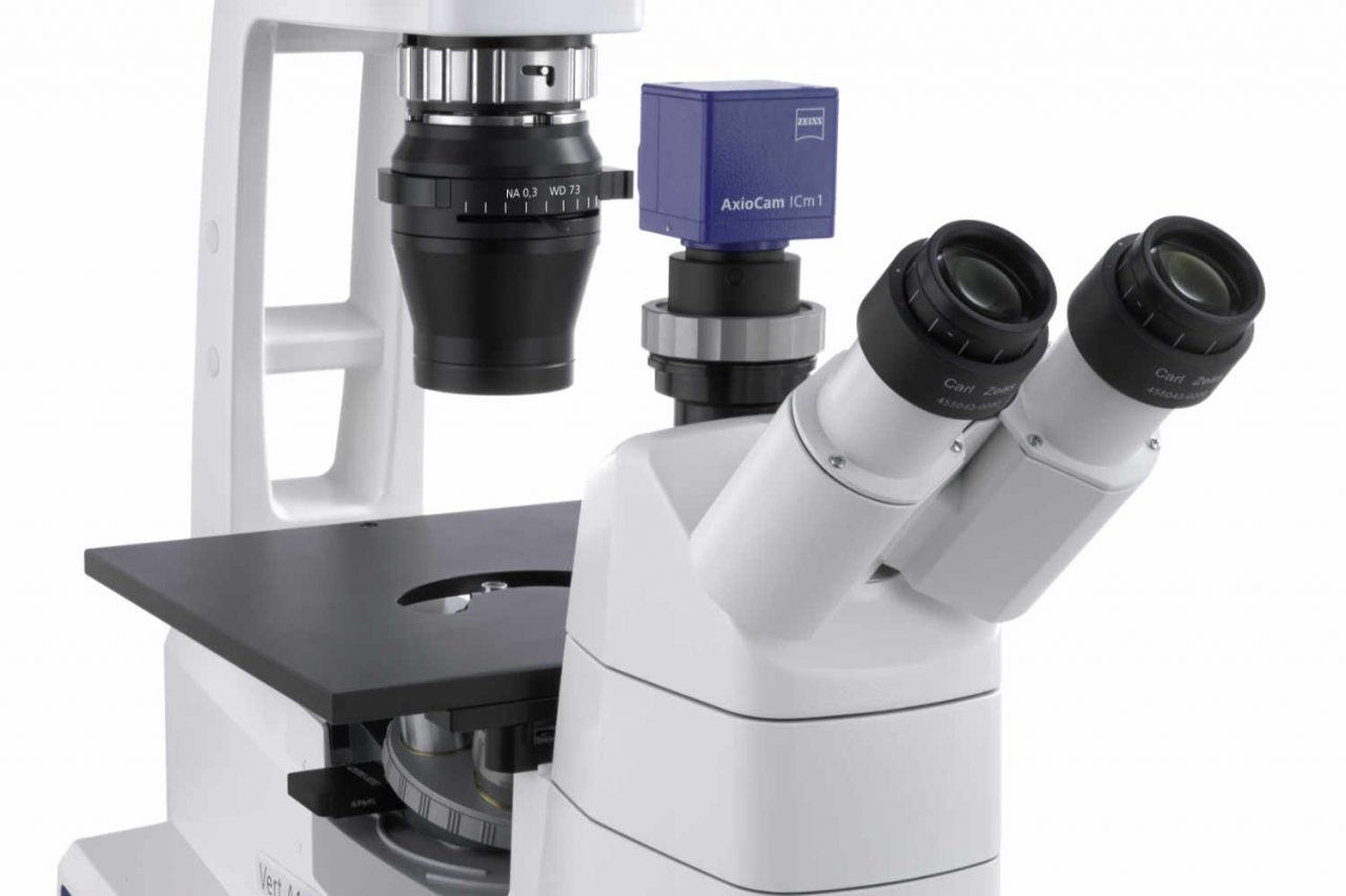 ZEISS "Axio Vert.A1" - historisches Zellkulturmikroskop