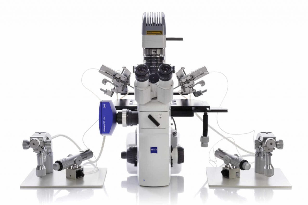 ZEISS "Axio Vert.A1" - historisches Zellkulturmikroskop