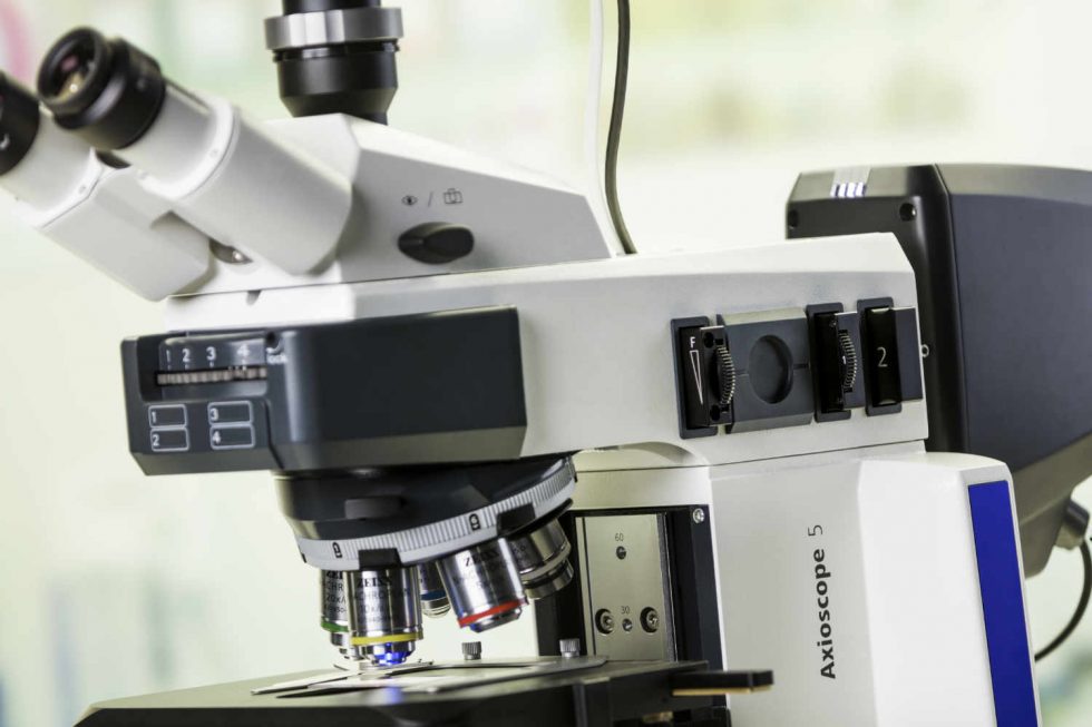 ZEISS "Axioscope 5" das universelle Durchlichtmikroskop